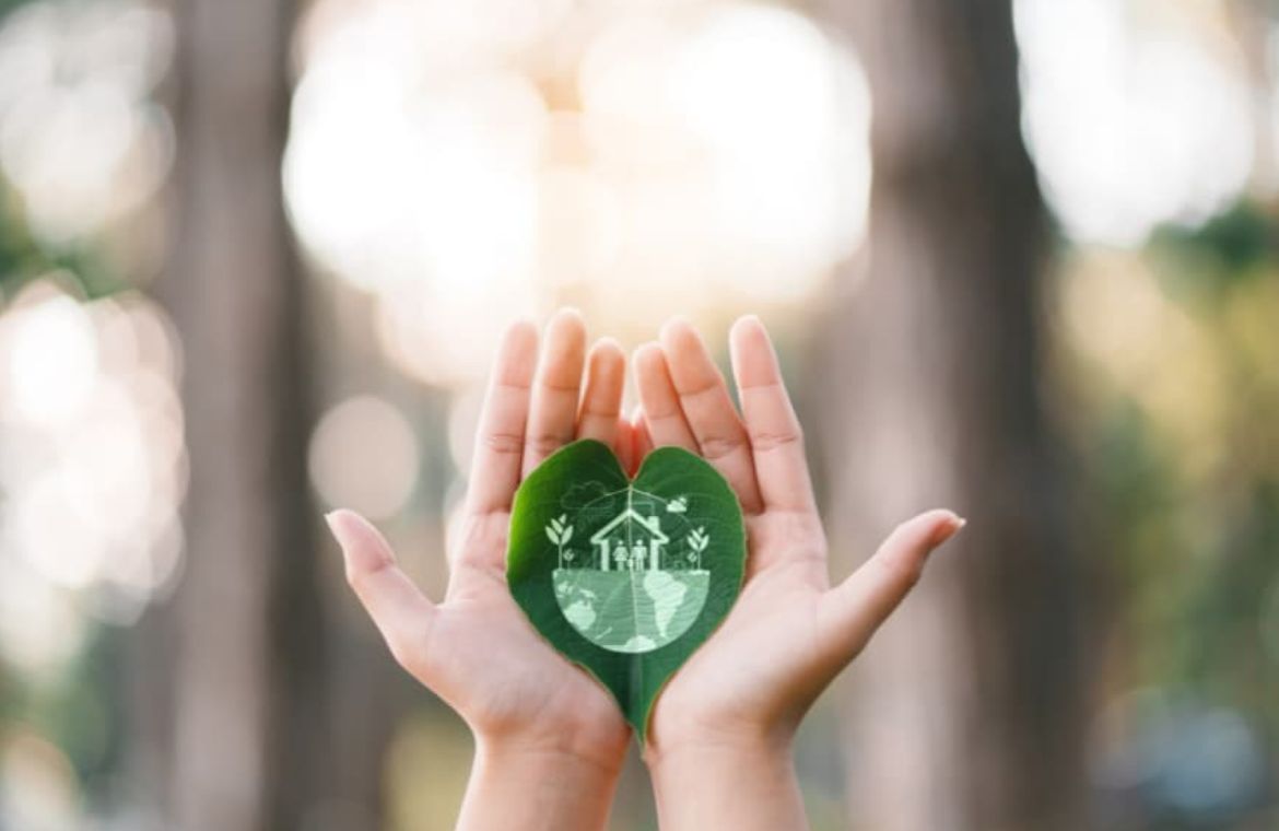 Green Heating Solutions: Exploring the Benefits of Free Boiler Grants